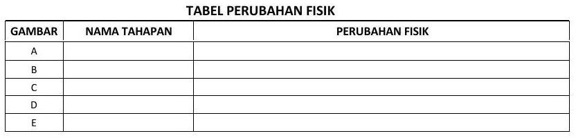 SOLVED: Tolong di jawab kakak TABEL PERUBAHAN FISIK NAMA TAHAPAN ... SOLVED: Tolong di jawab kakak TABEL PERUBAHAN FISIK NAMA TAHAPAN ...