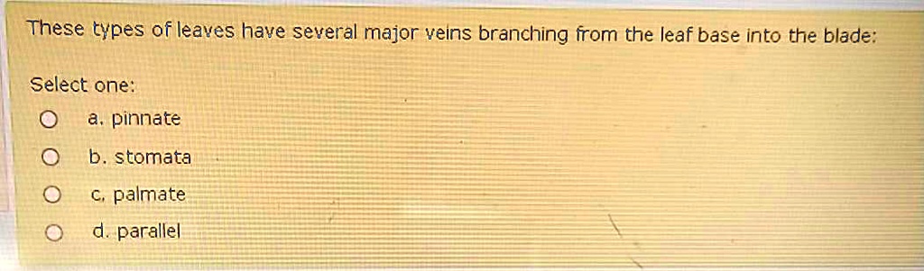 SOLVED: These types of leaves have several major veins branching from ...