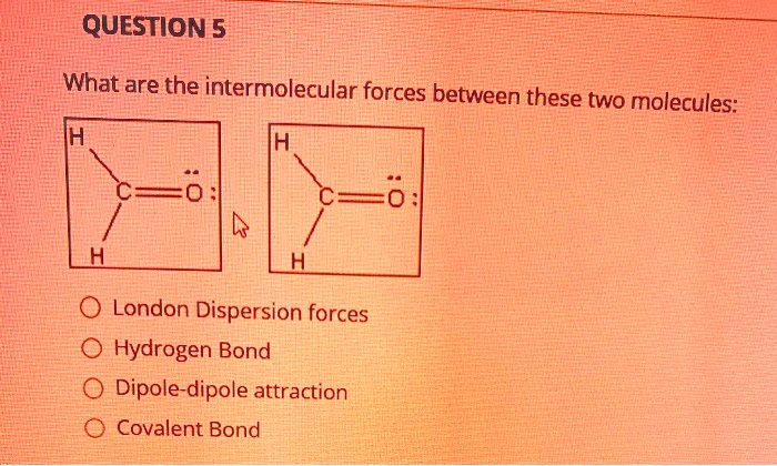 SOLVED: QUESTION 5 What are the intermolecular forces between these two ...