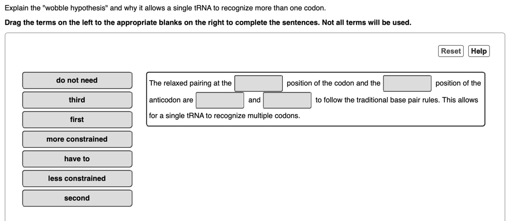 explain the wobble hypothesis and why it allows single trna to ...