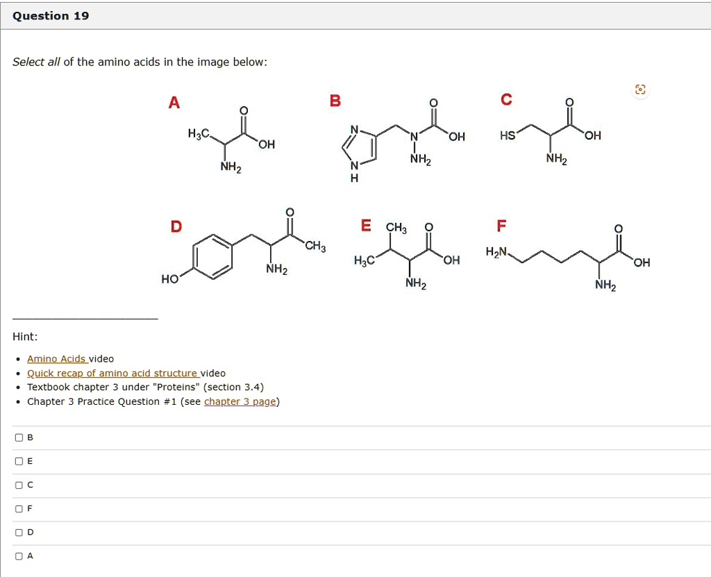 Question 19 Select all of the amino acids in the image below: A B H3C O ...
