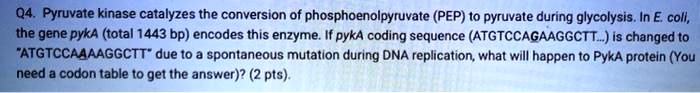 pyruvate kinase catalyzes the conversion of phosphoenolpyruvate pep to ...