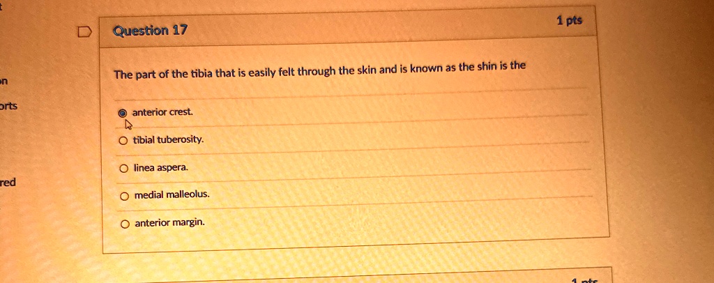 Question 17 1 pts The part of the tibia that is easily felt through the ...
