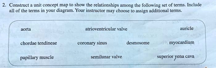 SOLVED: Construct a unit concept map to show the relationships among ...