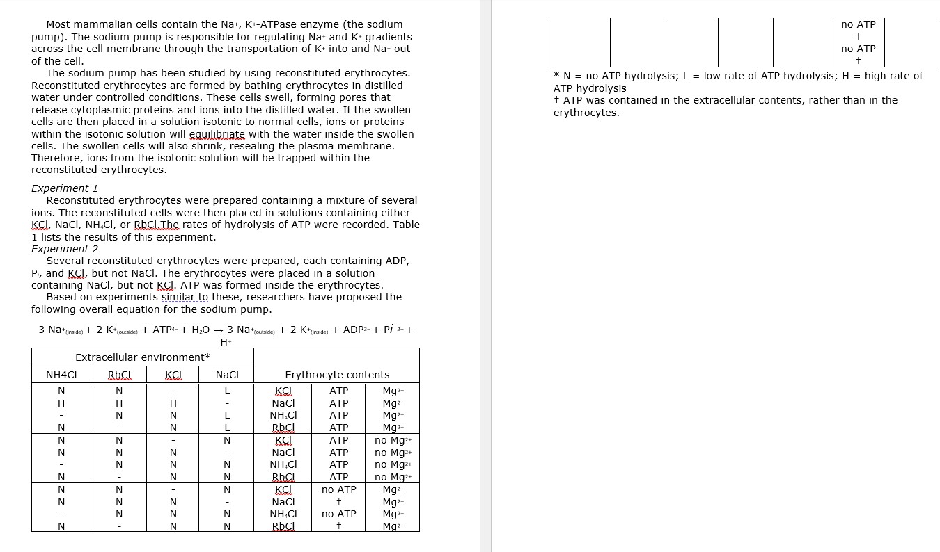Most mammalian cells contain the Na^+, K+-ATPase enzyme (the...