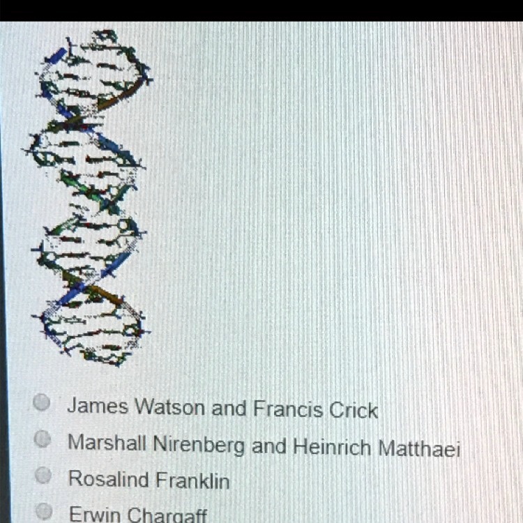 im 1953 who developed the model shown below james watson and francis ...