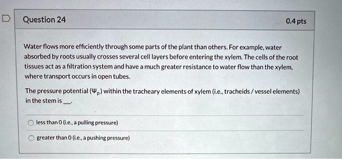 SOLVED: Water flows more efficiently through some parts of the plant ...