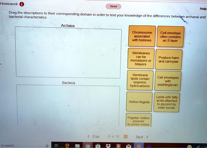 SOLVED: Homework 0 En d Help Drag thae dharacenssco their corresponding ...