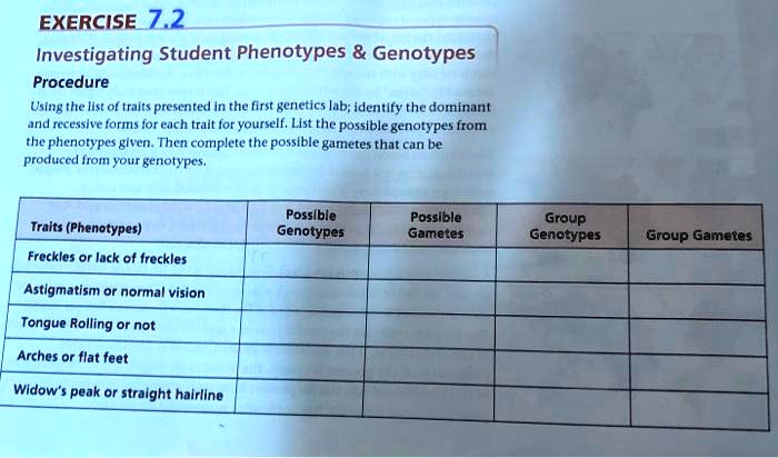 exercise 72 investigating student phenotypes genotypes procedure using ...