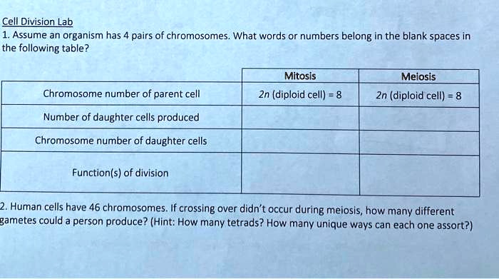 SOLVED: Cell Division Lab Assume an organism has pairs of chromosomes ...