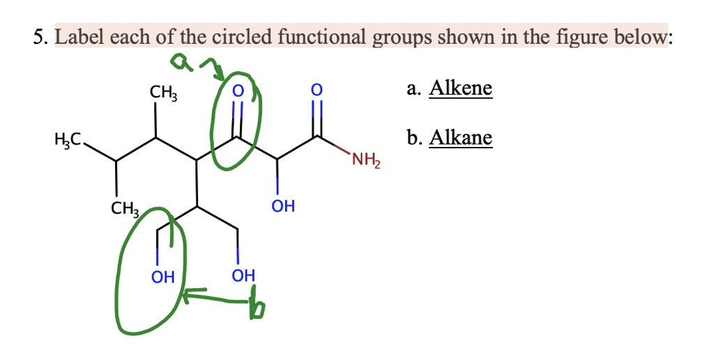 [GET ANSWER] 5. Label each of the circled functional groups shown in the figure below: CH3 H?C ...