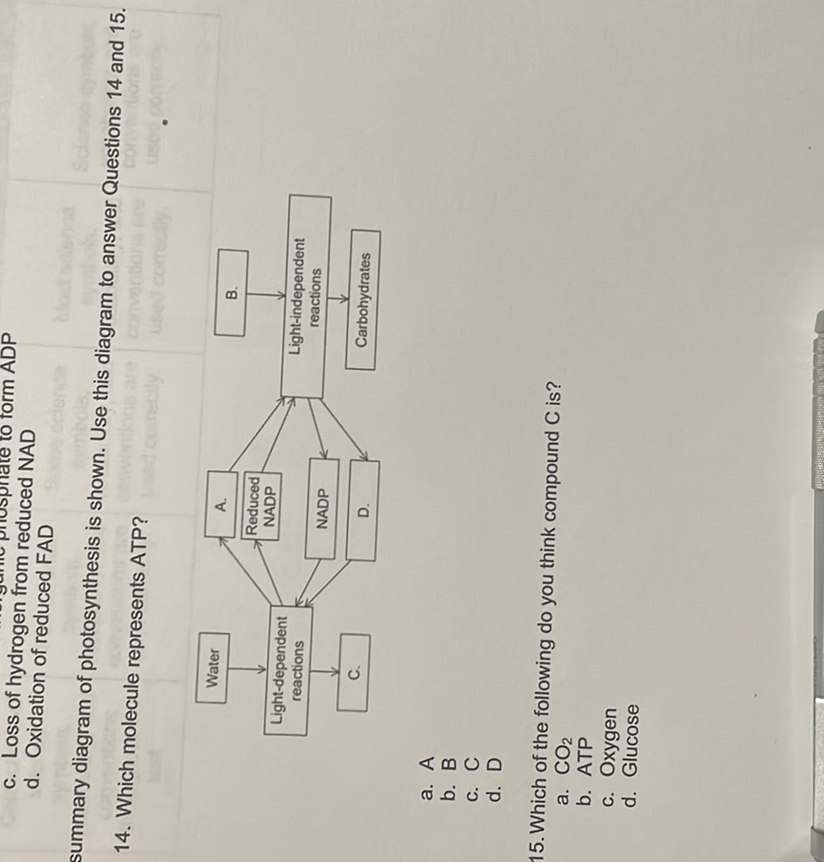 c. Loss of hydrogen from reduced NAD d. Oxidation of reduced FAD ...