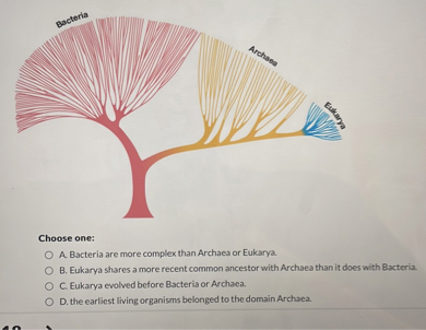 Choose one: A Bacteria are more complex than Archaea or Eukarya. B. Eukarya shares a more recent ...