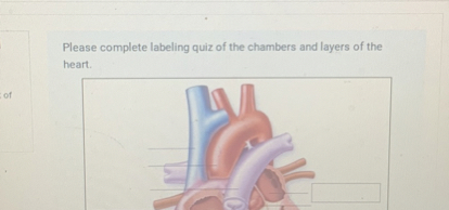 [GET ANSWER] Please complete labeling quiz of the chambers and layers ...
