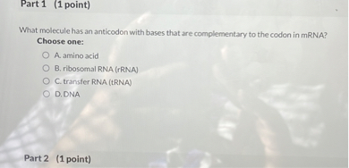 part 1 1 point what molecule has an anticodon with bases that are ...