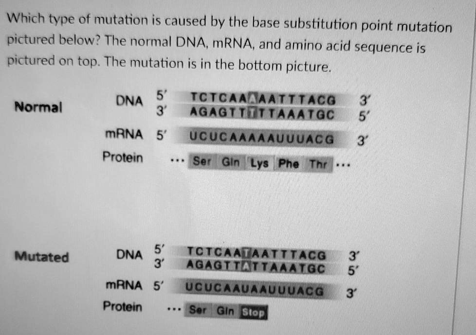 SOLVED: Which type of mutation is caused by the base substitution point mutation pictured below ...