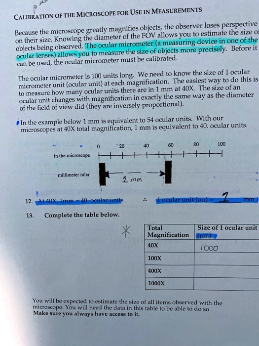 SOLVED: THE MICROSCOPE FOR USE IN MEASUREMENTS CALIBRATION objects; the observer loses ...