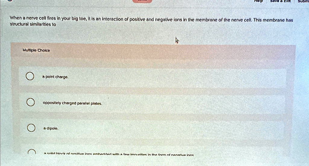 When a nerve cell fires in your big toe, it is an interaction of ...