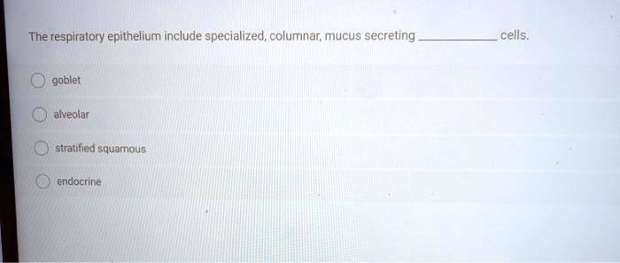 SOLVED: The respiratory epithelium includes specialized, columnar ...