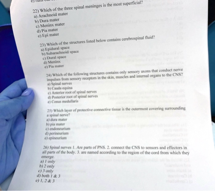 22) Which of the three spinal meninges is the most superficial? a ...