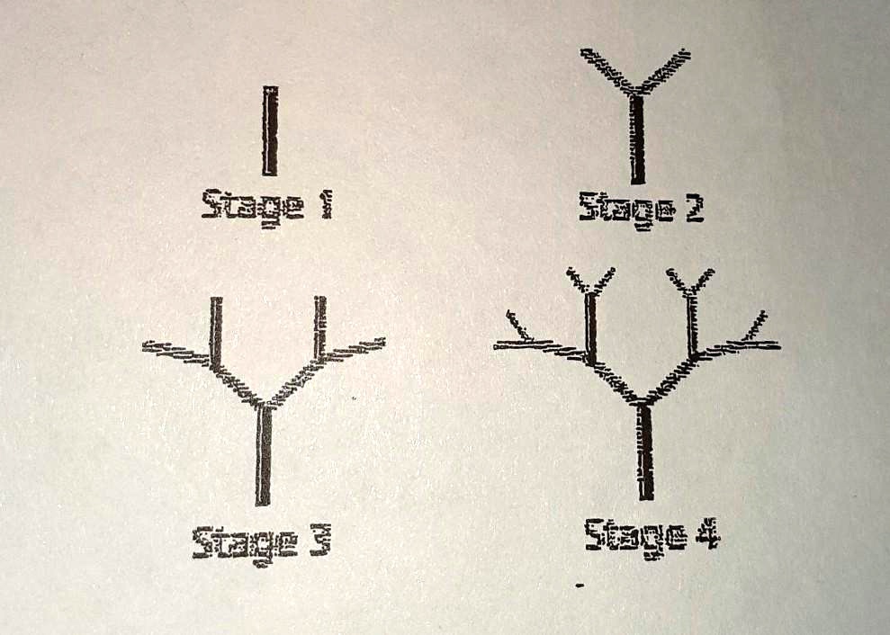 a fractal tree starts with a single tree branch the trunk at each stage ...