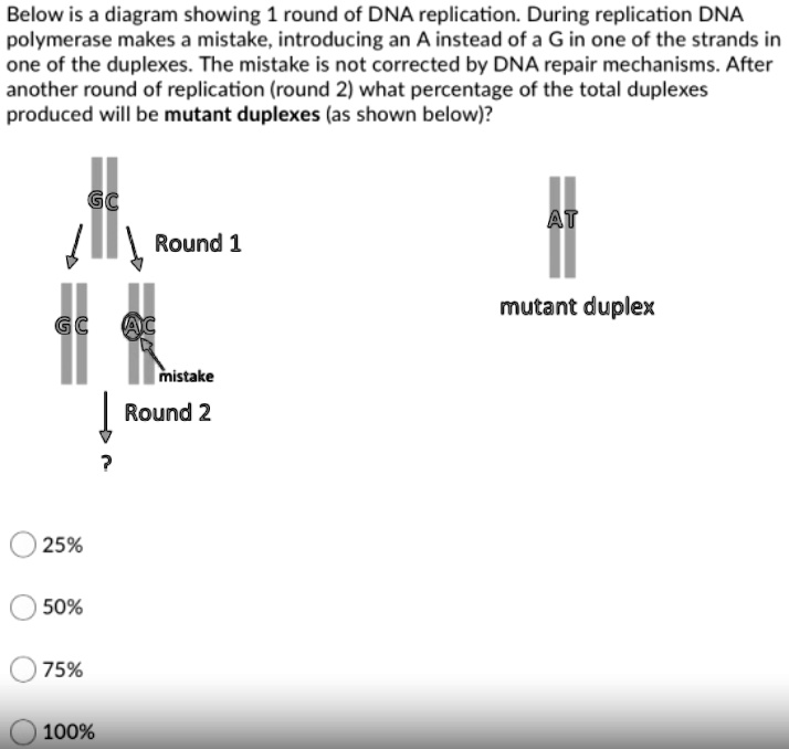 SOLVED: Below is a diagram showing 1 round of DNA replication. During ...