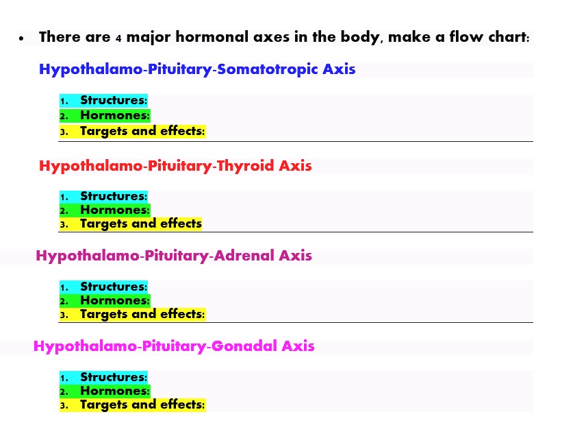 There are 4 major hormonal axes in the body, make a flow chart ...