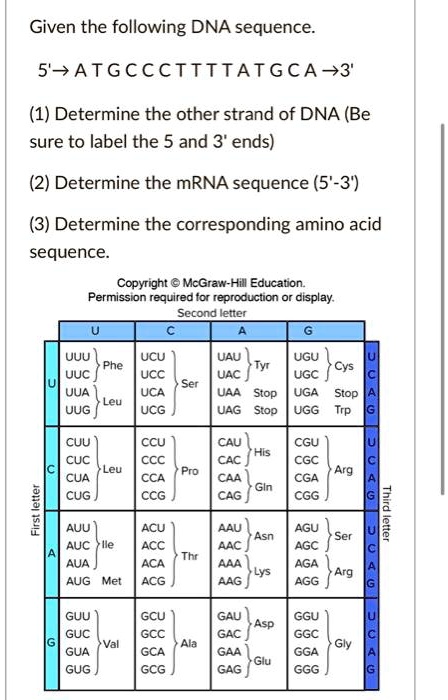 Given the following DNA sequence. 5'? A T G C C C T T T T A...