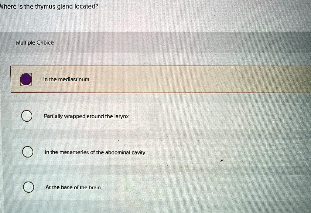 where is the thymus gland located multiple choice in the mediastinum ...