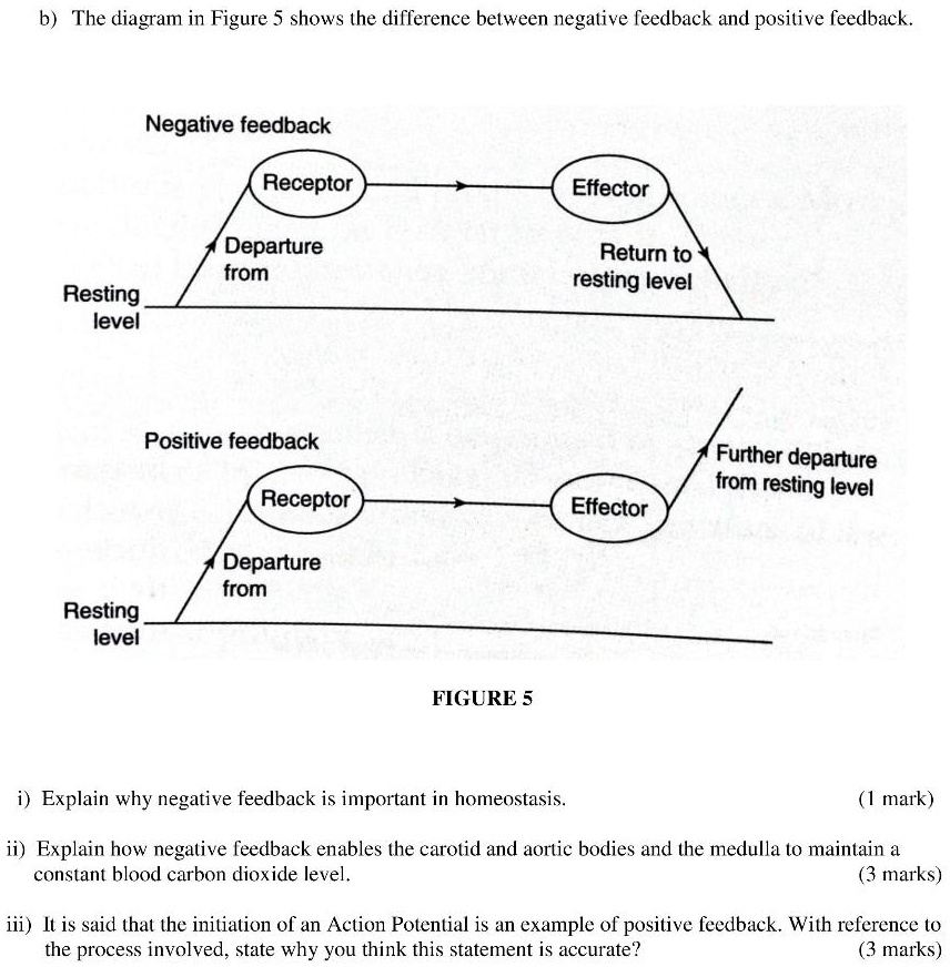SOLVED:The diagram in Figure 5 shows the difference between negative ...