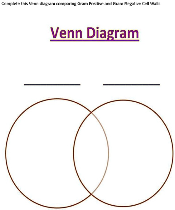 SOLVED: Ccmplete this Venn diagram comparing Gram Positive and Gram ...