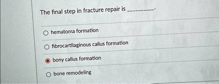 The final step in fracture repair is . hematoma formation ...