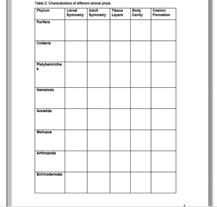 SOLVED: Draw a phylogenetic tree for the major phyla of animals. Use ...