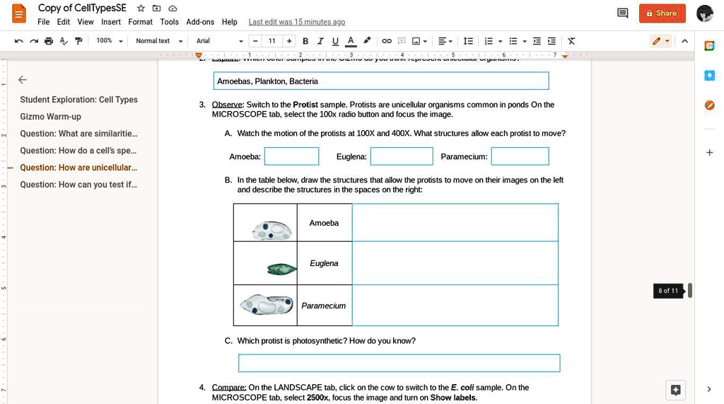 Copy of CellTypesSE File Edit View Insert Format Tools Add-ons Help ...