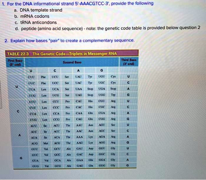 SOLVED:For " the DNA informational strand 5'-AAACGTCC-3', provide the ...