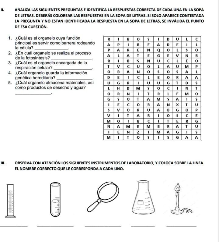 SOLVED: ayuda es para las 8:00 ANALIZA LAS SIGUIENTES PREGUNTAS ...
