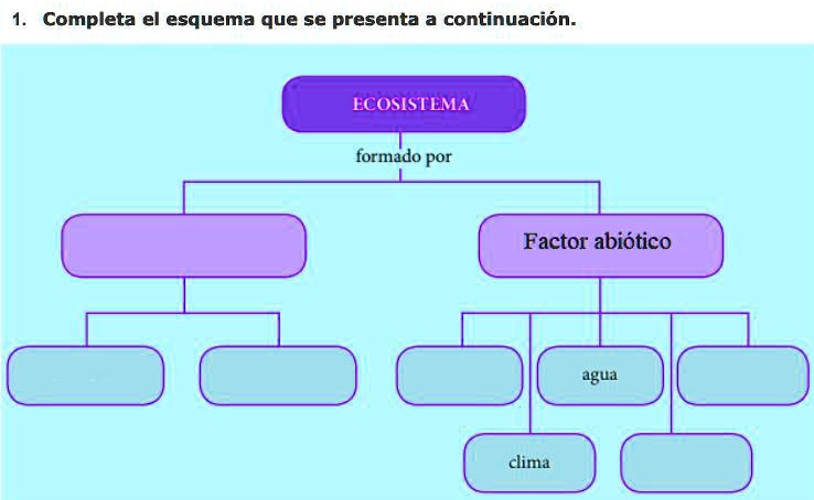 SOLVED: Ayudenme porfavorrrr Completa el esquema que se presenta a ...