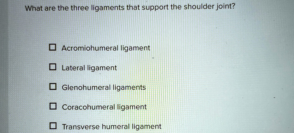 What are the three ligaments that support the shoulder...
