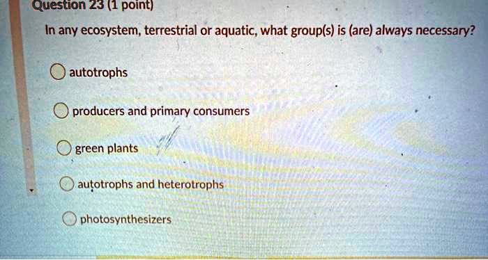 SOLVED: question 23 (1 point) In any ecosystem, terrestrial or aquatic ...