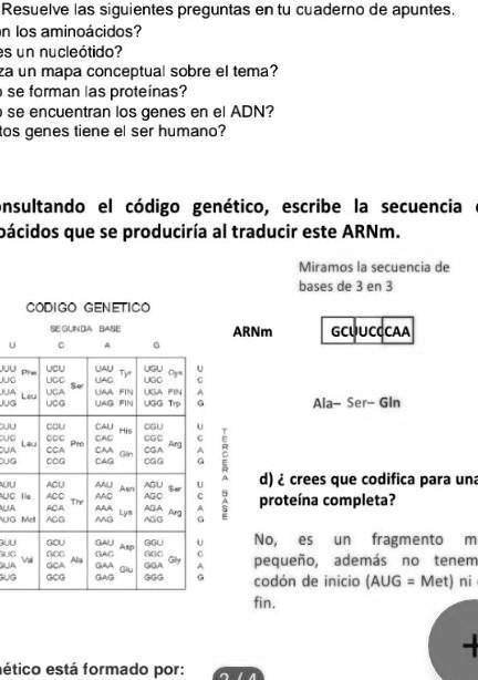 SOLVED: Consulta el código genético, escribe la secuencia de ...