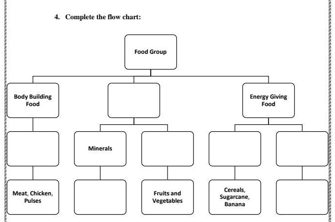 SOLVED: '4. Complete the flow chart: Complete the flow chart: Food ...