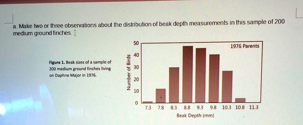 SOLVED: Make two or three observations about the distribution of beak ...