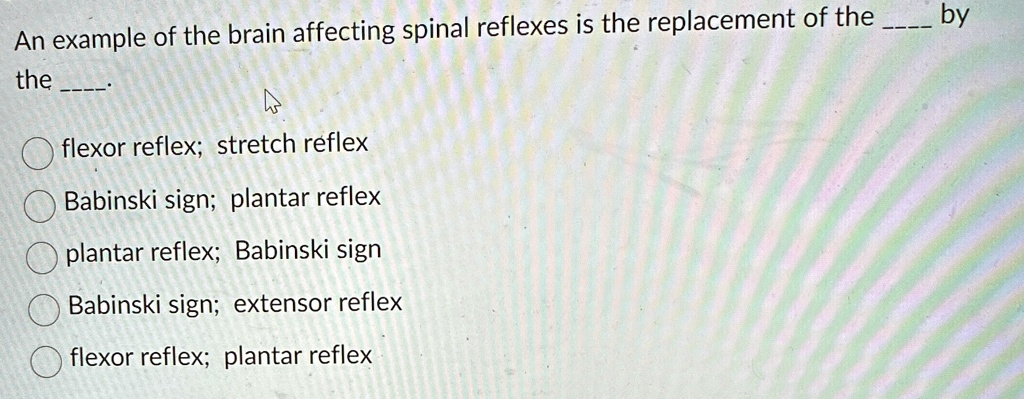 an example of the brain affecting spinal reflexes is the replacement of ...