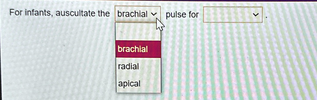 for infants auscultate the brachial pulse for brachial radial apical ...