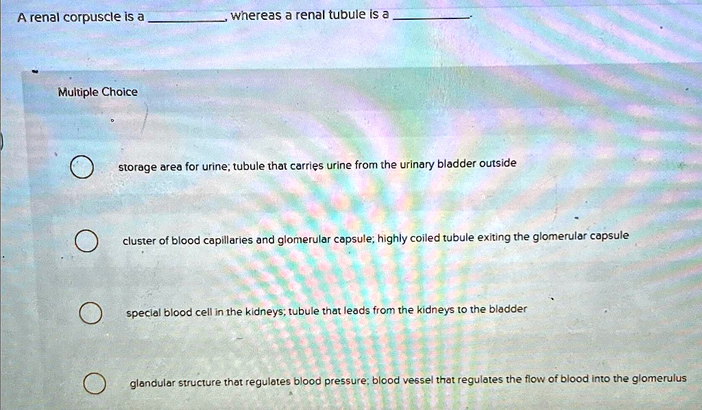 SOLVED: A renal corpuscle is a cluster of blood capillaries and ...