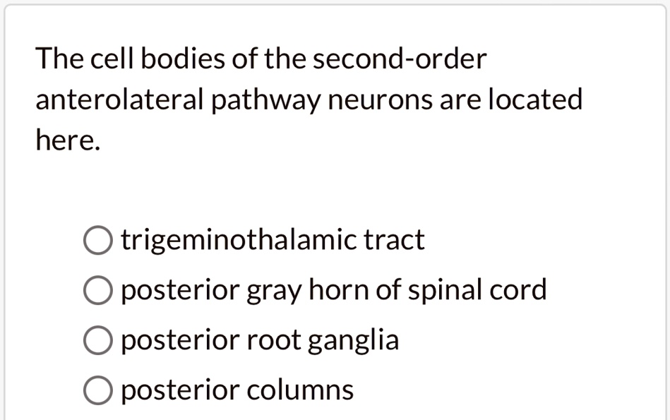 the cell bodies of the second order anterolateral pathway neurons are ...