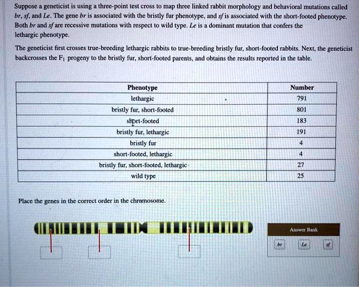 SOLVED: Suppose 4 geneticists are using a three-point test cross to map ...