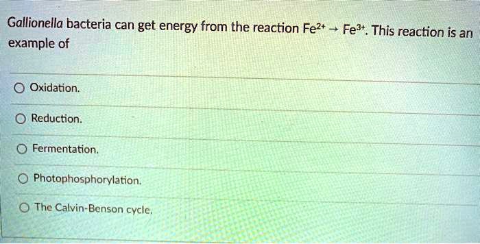 gallionella bacteria can get energy from the reaction fe2 fe3t this ...