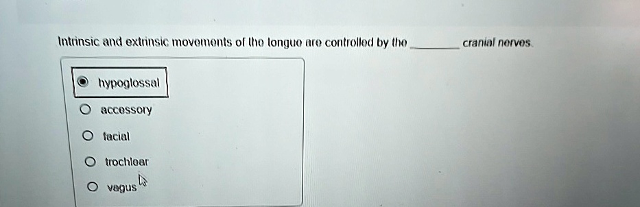 Intrinsic and extrinsic movements of the tongue are controlled by the ...