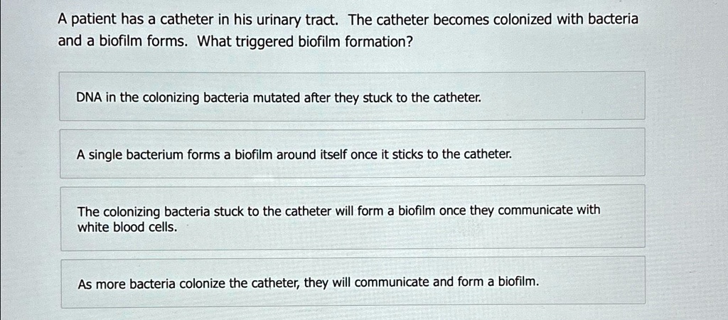 A patient has a catheter in his urinary tract. The catheter becomes ...